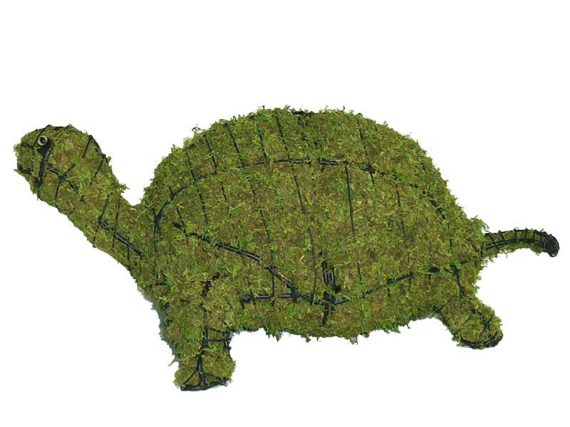 Turtle Topiary - mossed or frame only