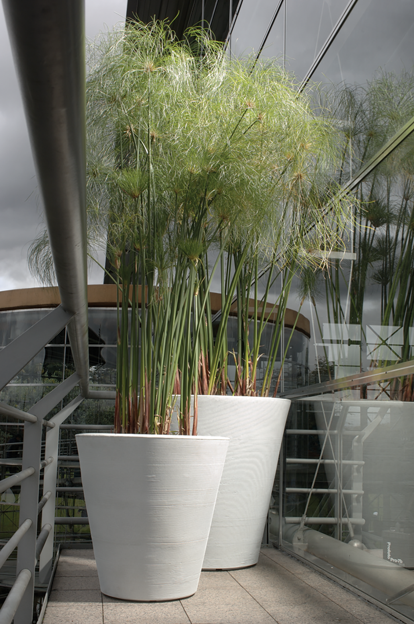 Madison Tapered Round Planter by Cresent Garden