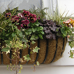 Hayrack Planters, Side Planting Baskets, Hanging Baskets