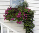Hayrack Planters 24”, 30”, 36", 44", 55", 72"