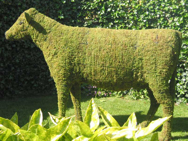 Cow Topiary Frame - Moss Filled - 24" and 60"