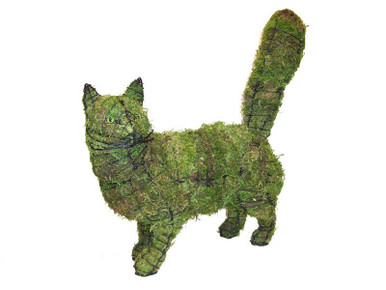 Cat Walking Topiary - frame only or mossed