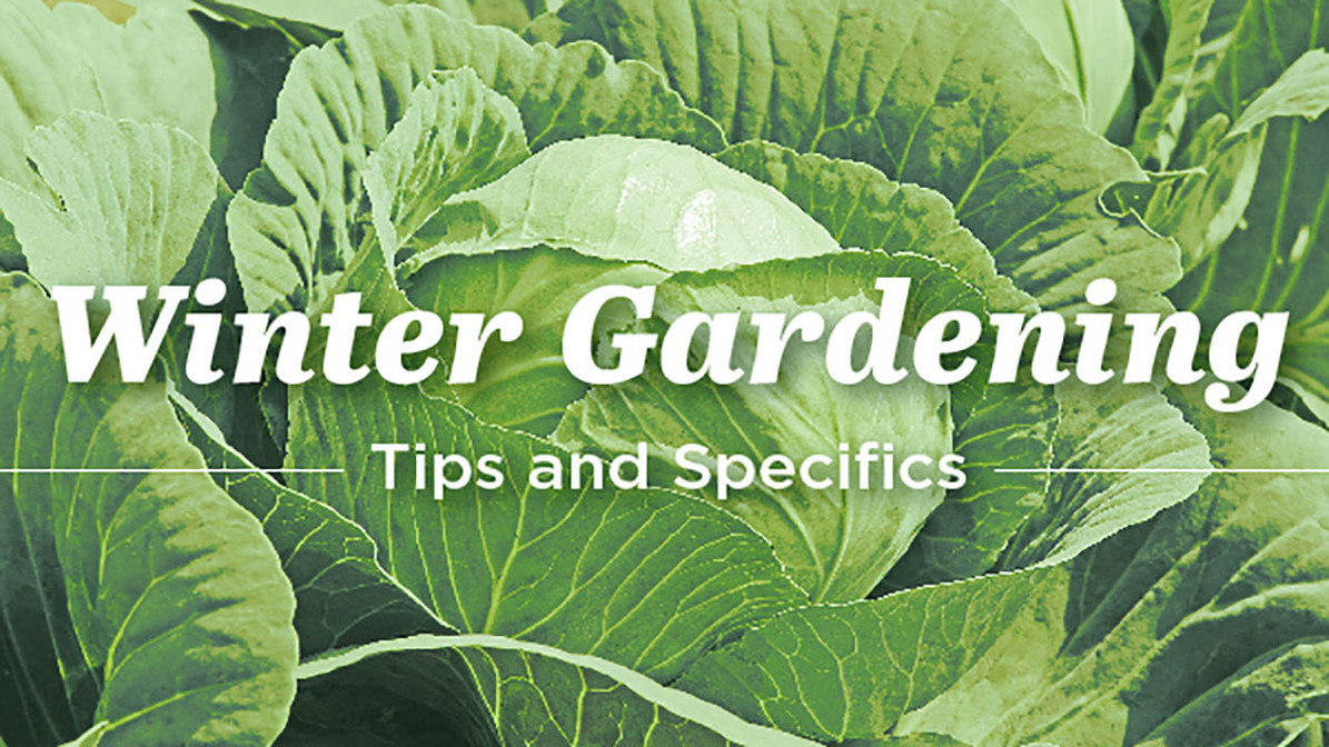 Winter Gardening Tips and Specifics - DripWorks