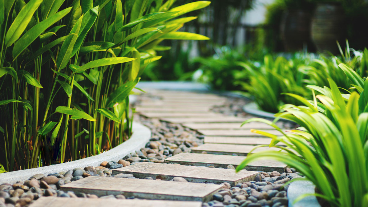 Current Trends in Gardening - DripWorks