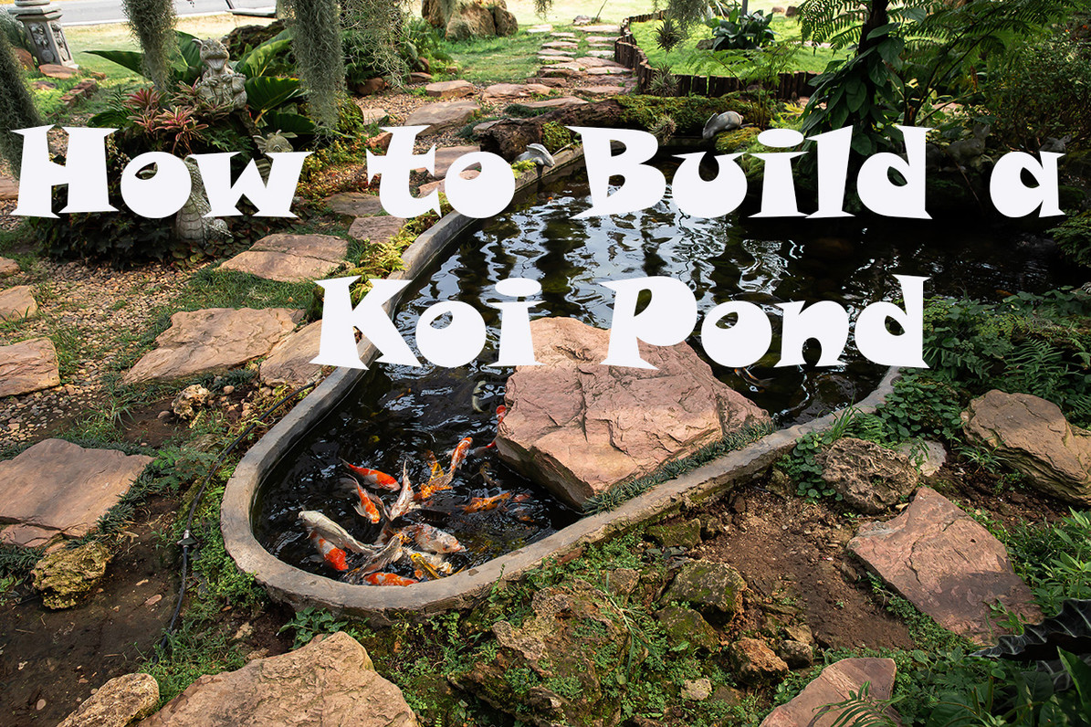 How To Build A Koi Pond Dripworks