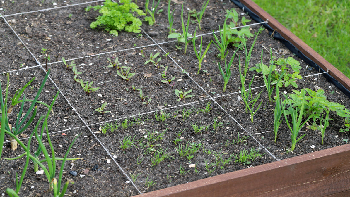 What Is Square Foot Gardening Dripworks