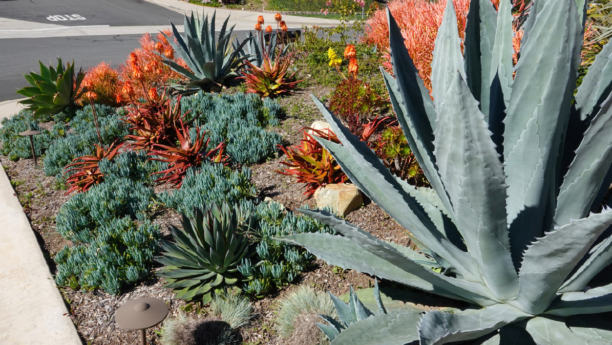 What is sub-surface irrigation and How to Install it - DripWorks