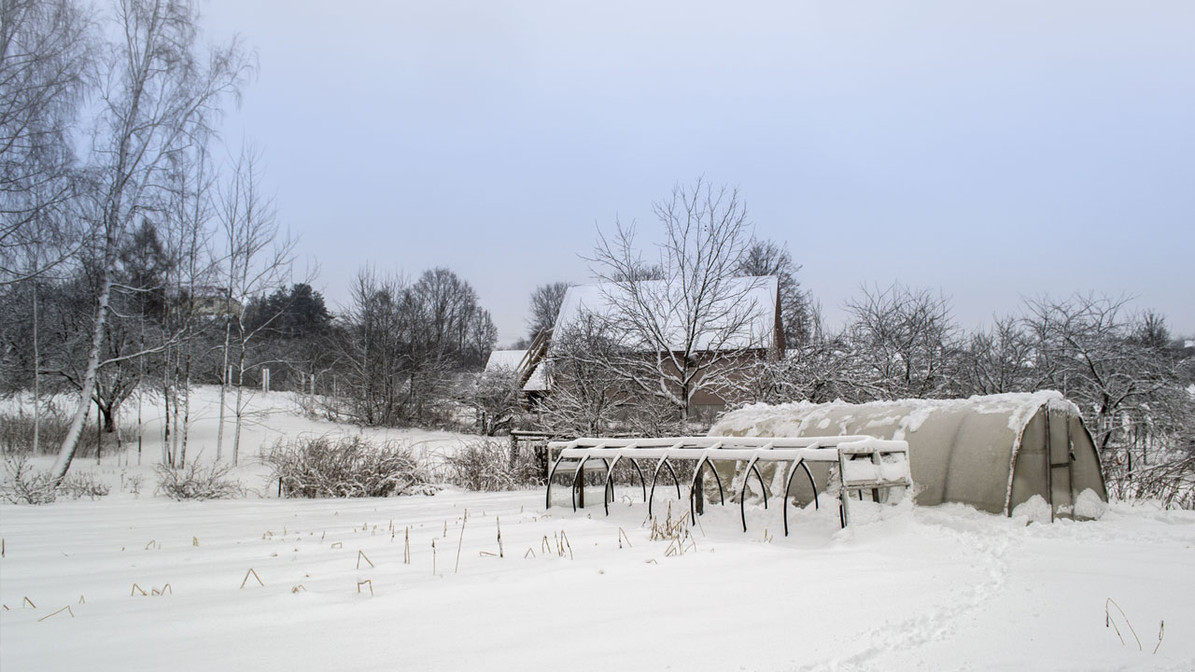 Prepare Your Irrigation System for Winter: 6 Expert Tips from DripWorks ...