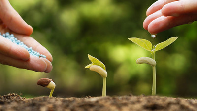 Fertilizing your Garden, Maximizing your Gardens Potential - DripWorks