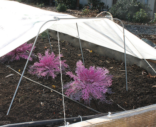 Yard & Garden - Row Cover - DripWorks