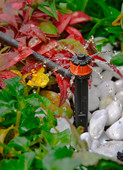 Pressure Compensating Shrubbler - DripWorks