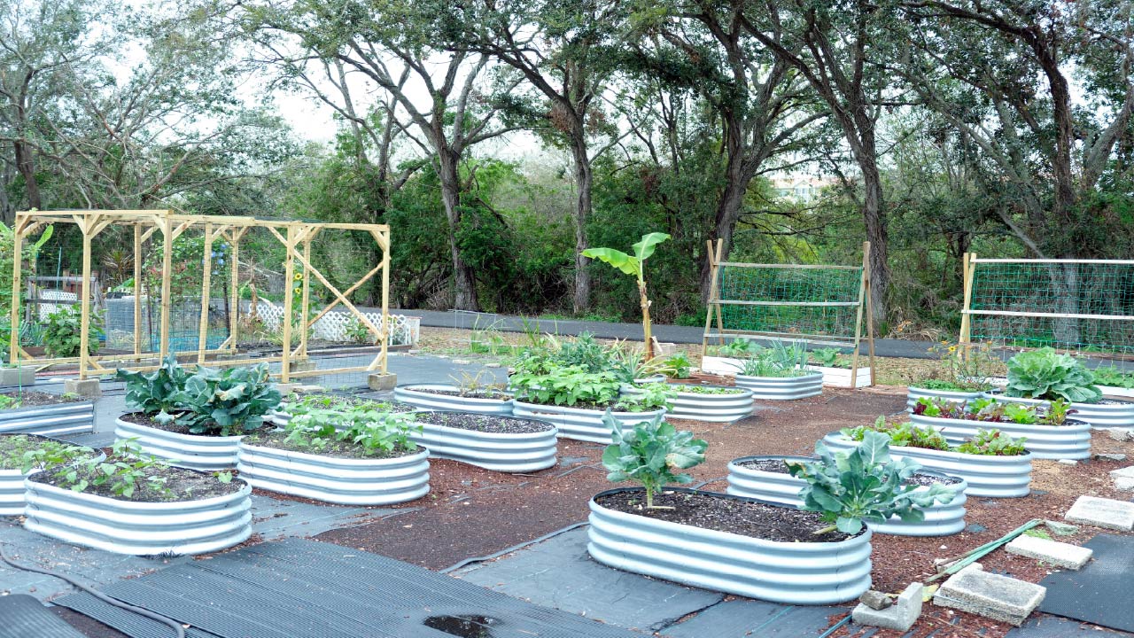 Installing Drip Irrigation in Raised Metal Beds - DripWorks