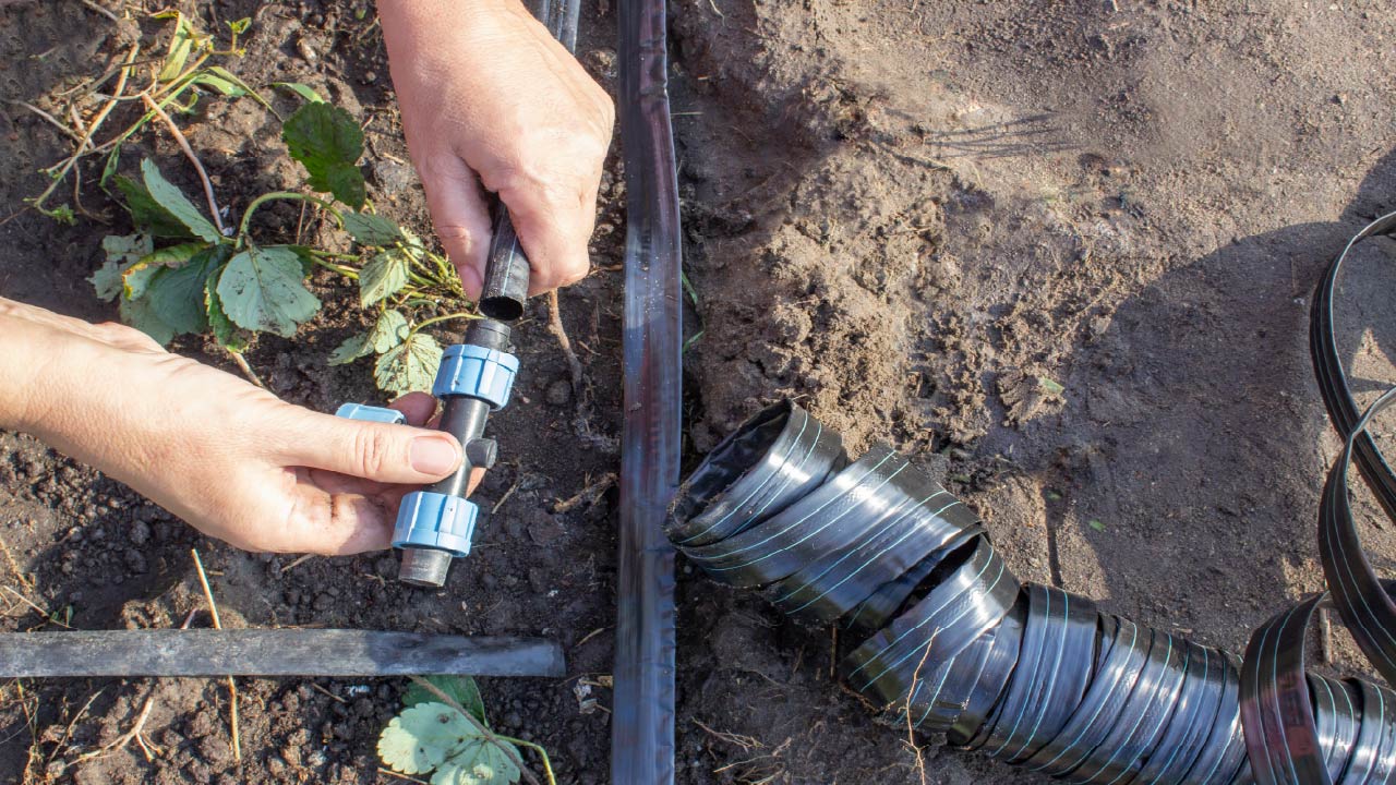 Early Summer Irrigation System Maintenance - DripWorks