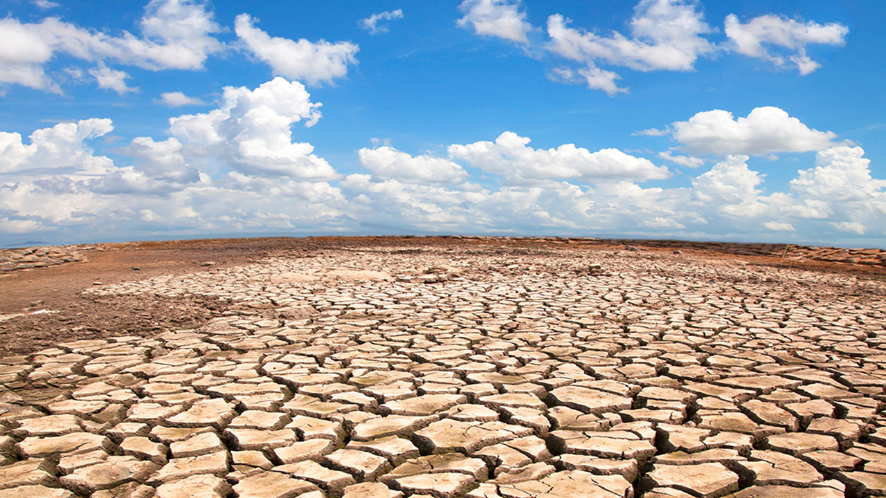 How Drought Challenges Our Irrigation Systems - DripWorks