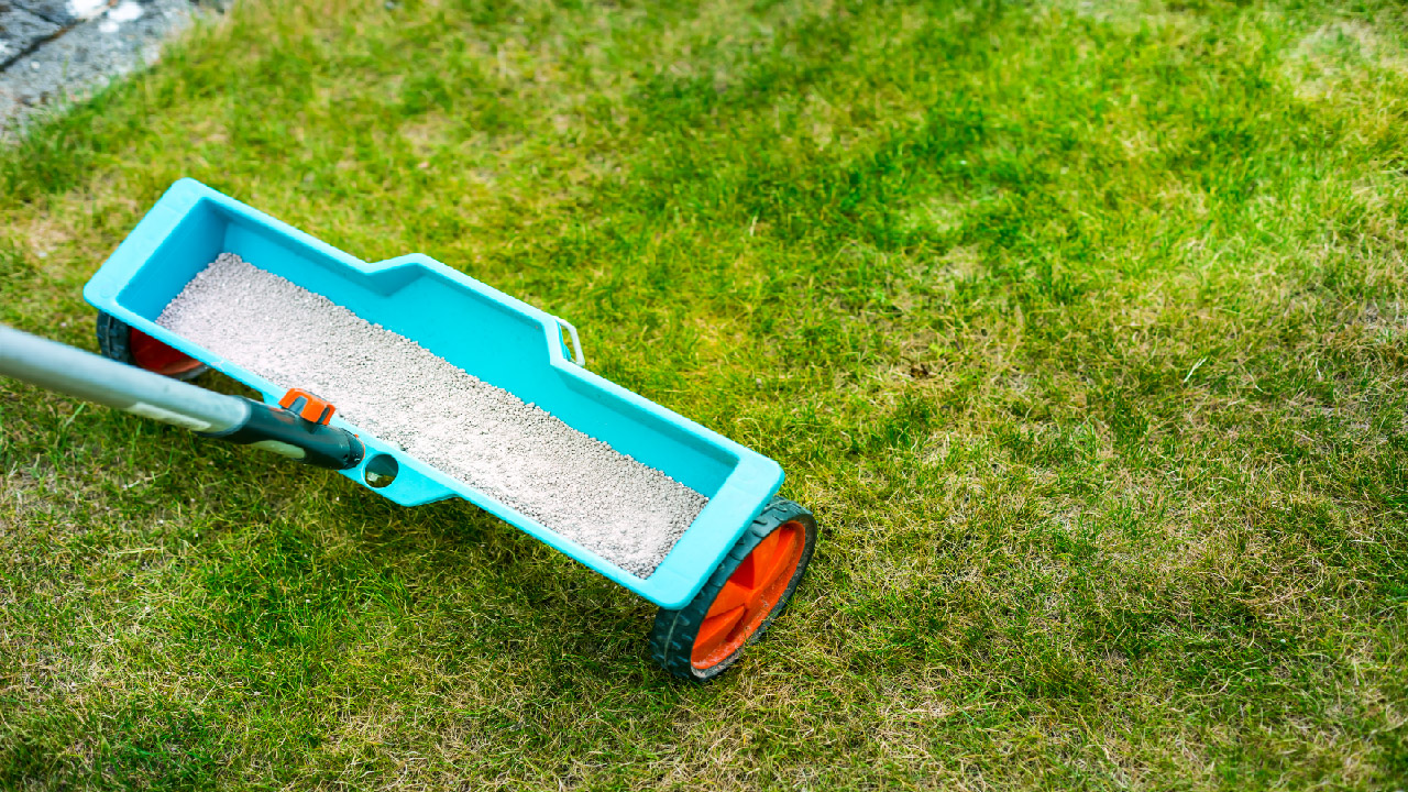 7 Tips for Fertilizing Your Lawn - DripWorks