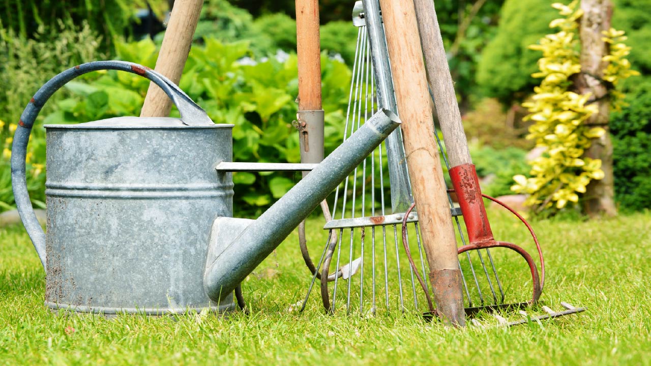 10 Garden Tools That You Didn’t Know You Needed - DripWorks