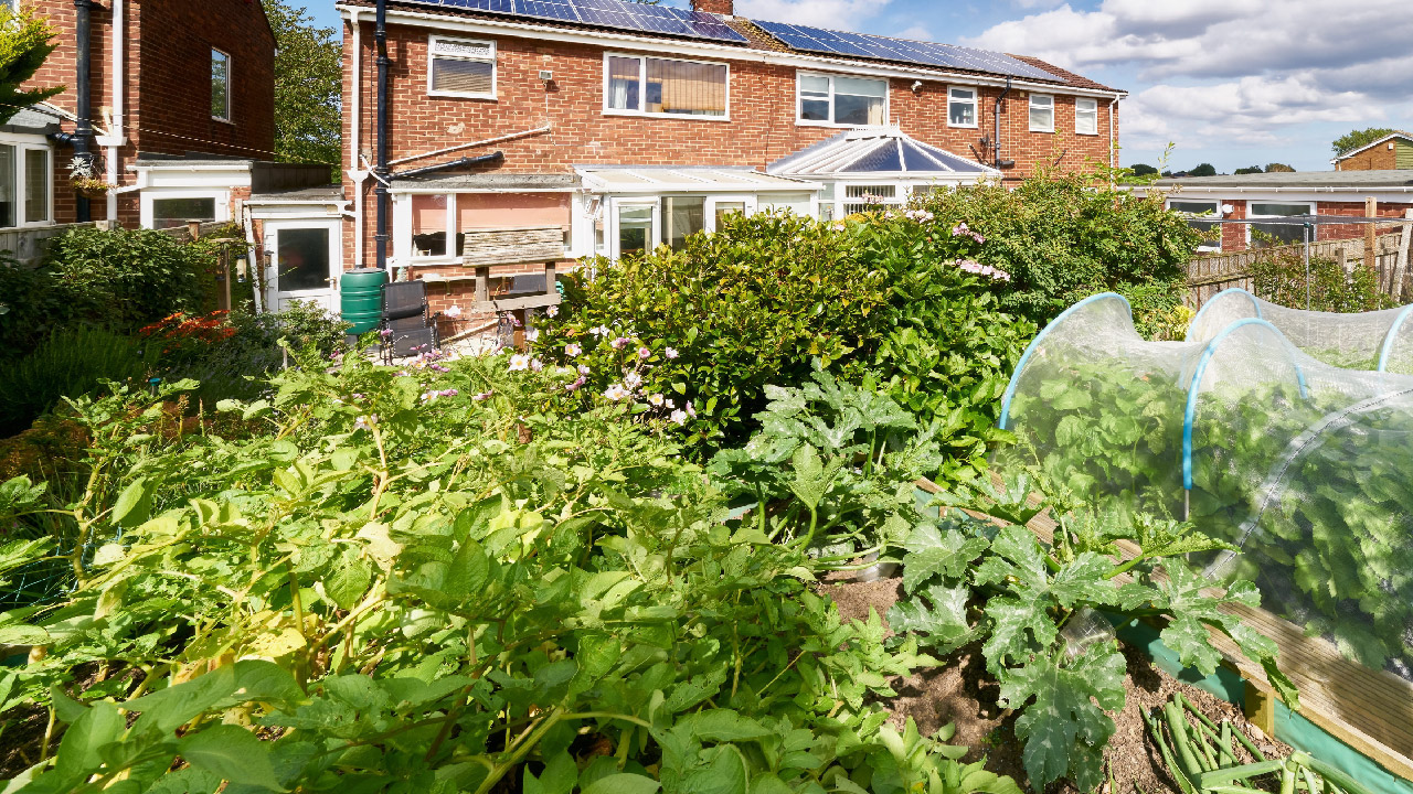 Front Yard Gardens: Transforming Lawn into Vegetable Gardens - DripWorks