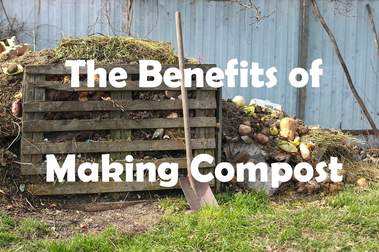 Benefits of Making Compost - DripWorks