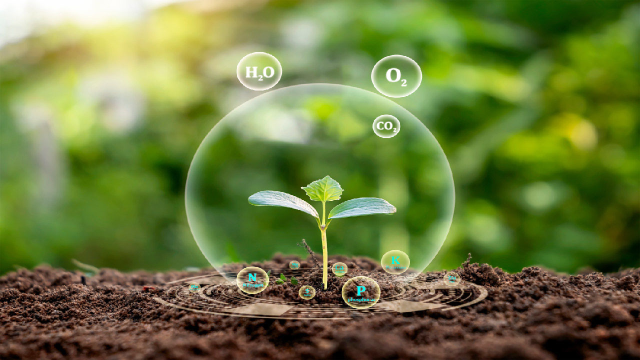 7 Ways to Add Nitrogen to Garden Soil - DripWorks