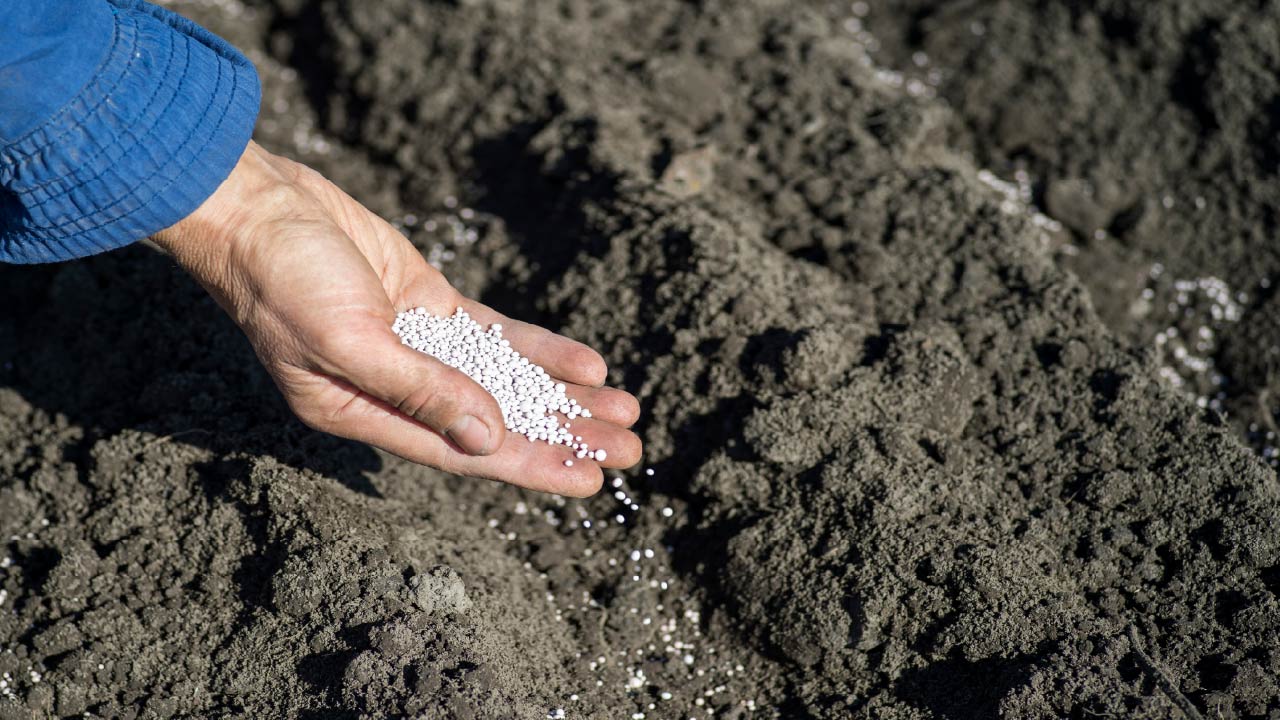 Guide to Organic Fertilizer: Types and How to Use in Your Garden ...