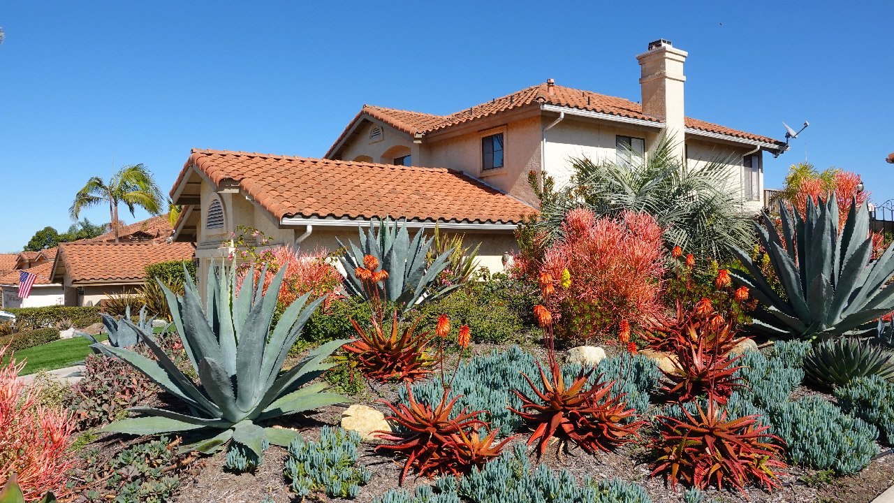 Landscape Design Ideas for Southern California - DripWorks