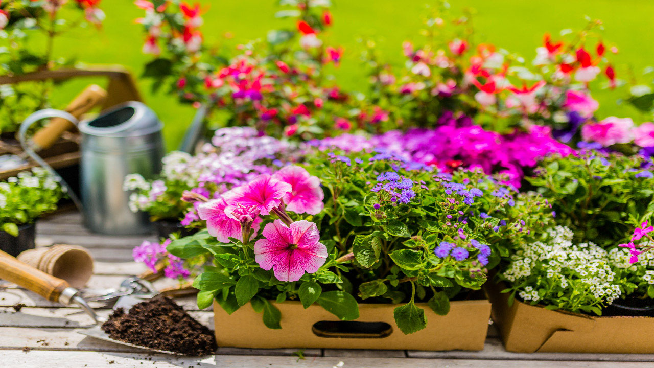 Top 5 Rules for Spring Gardening - DripWorks