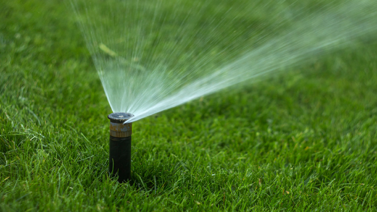 Which Sprinkler System Should You Use in Your Yard - DripWorks