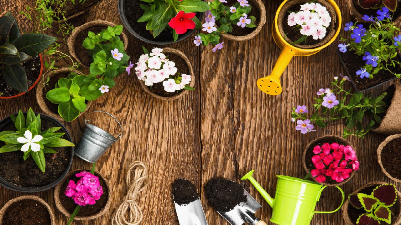 9 Best Gardening Tools for Seniors for Effortless Gardening - DripWorks