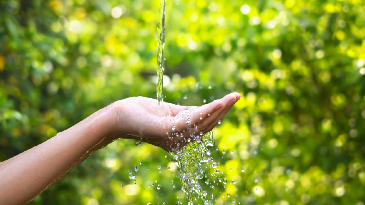 DripWorks Water Conservation Guide for Homeowners - DripWorks