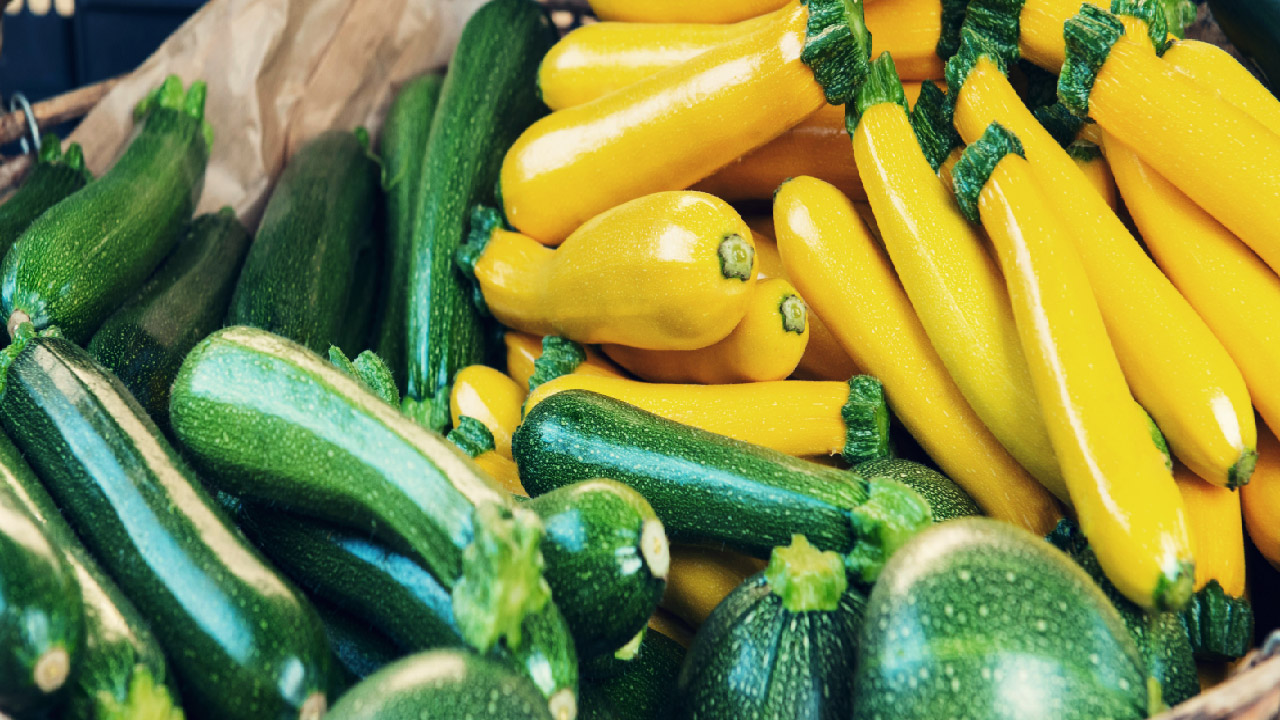 Best Summer Squash Varieties for 2024 Gardens - DripWorks