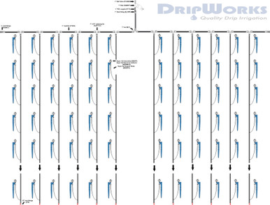 Orchard and Vineyard Plan 3 - DripWorks