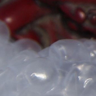 Roll x 12" Width 300mm x 100mt Small Bubble - Starlight Packaging