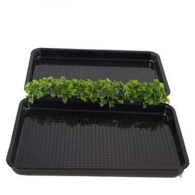 Display Garnish | Counter display dividers | counter display garnish ...