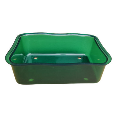 Display Tray | Translucent Green Punnet Dish | Greengrocer tray ...