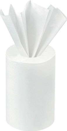 2ply mini centre pull Roll - Starlight Packaging