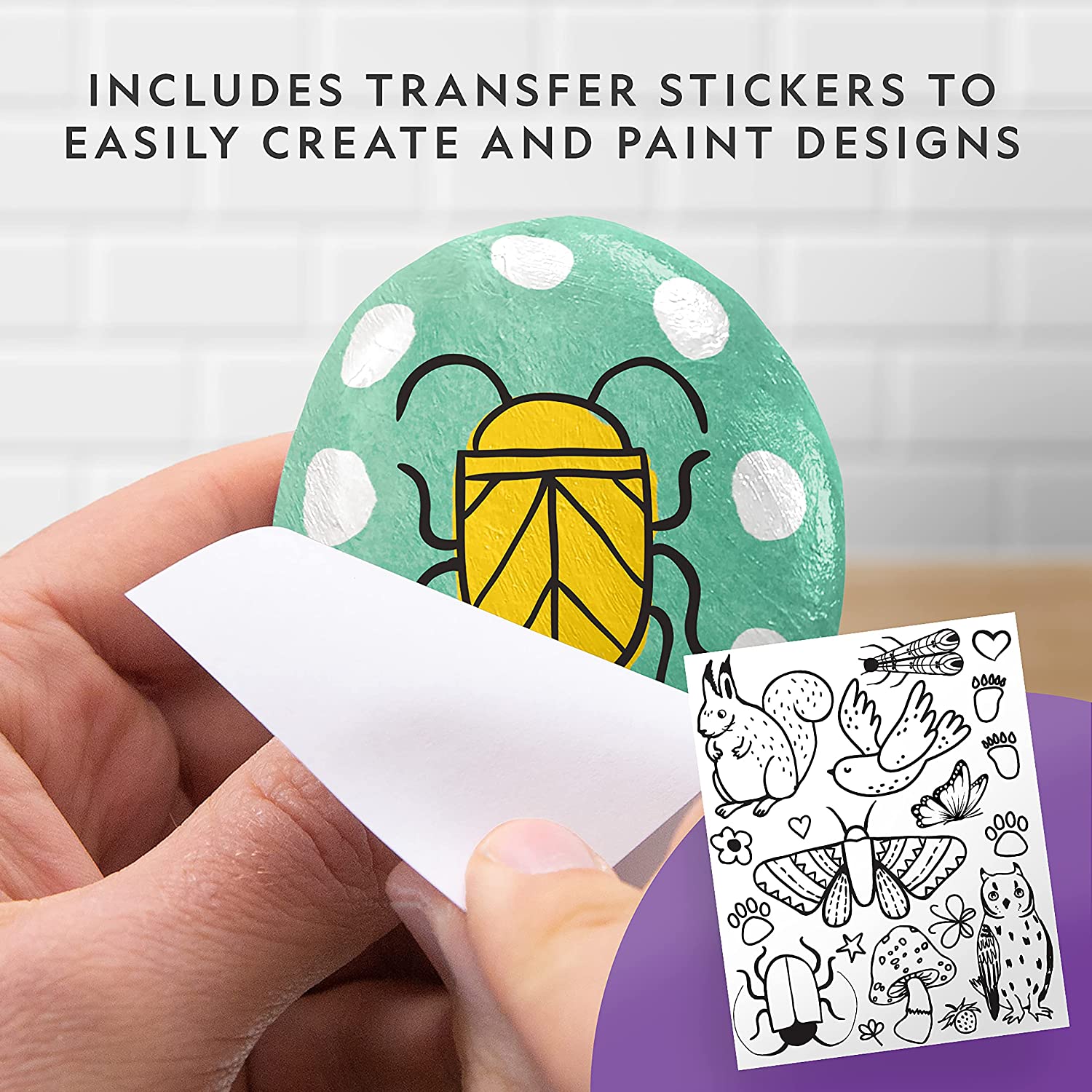 National Geographic - River Rock Craft Kit