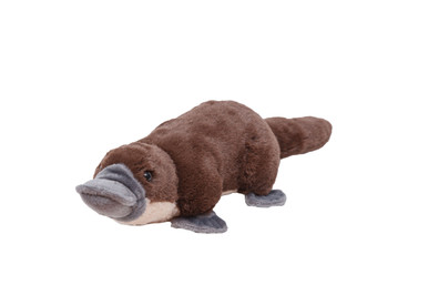 Wild Republic - CK Mini Platypus | Discount Toy Co
