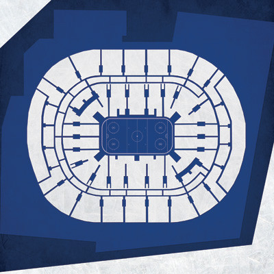 Toronto Maple Leafs Signature Rink - the Stadium Shoppe