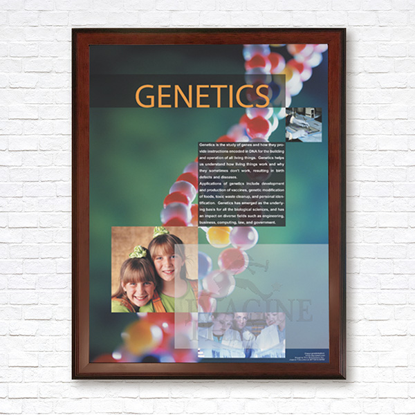 Genetics STEM Career Pathway Poster