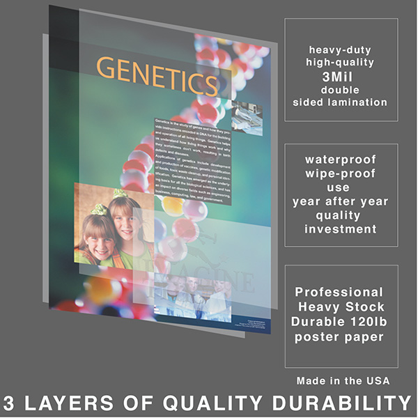 Genetics STEM Career Pathway Poster