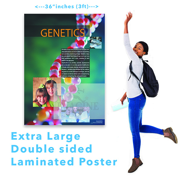 Genetics STEM Career Pathway Poster