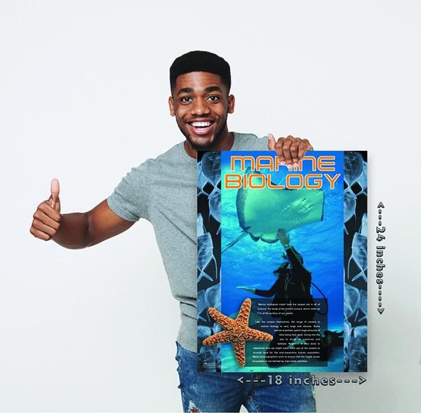 Marine Biology Poster