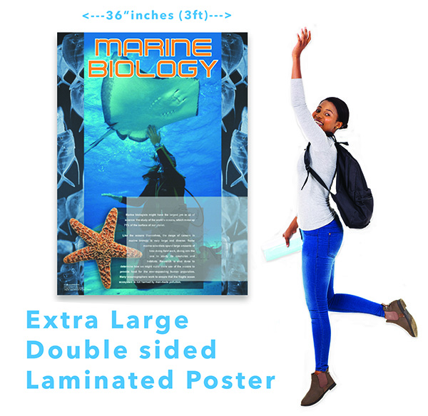 Marine Biology Poster