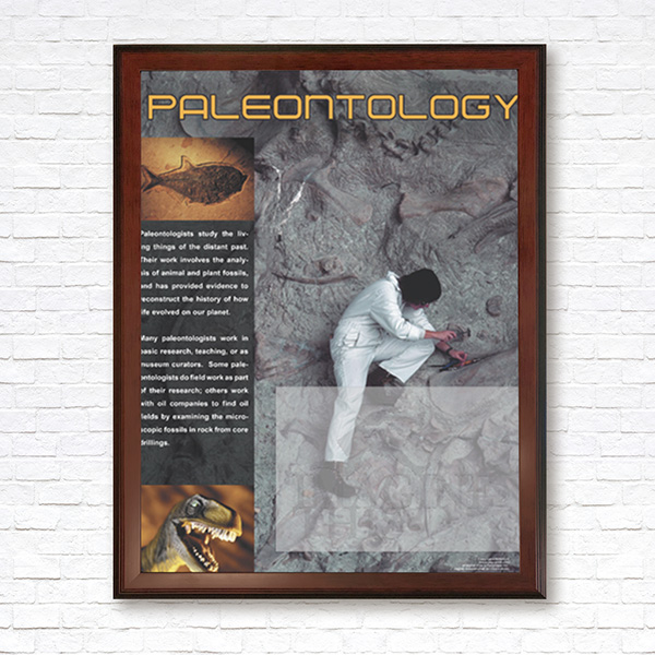 Paleontology Poster