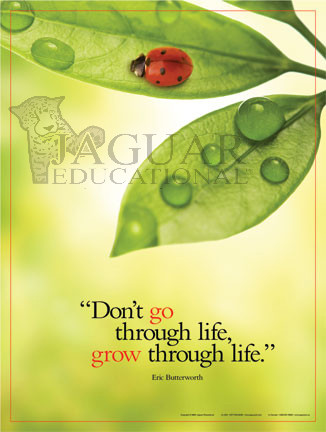 Grow Through Life