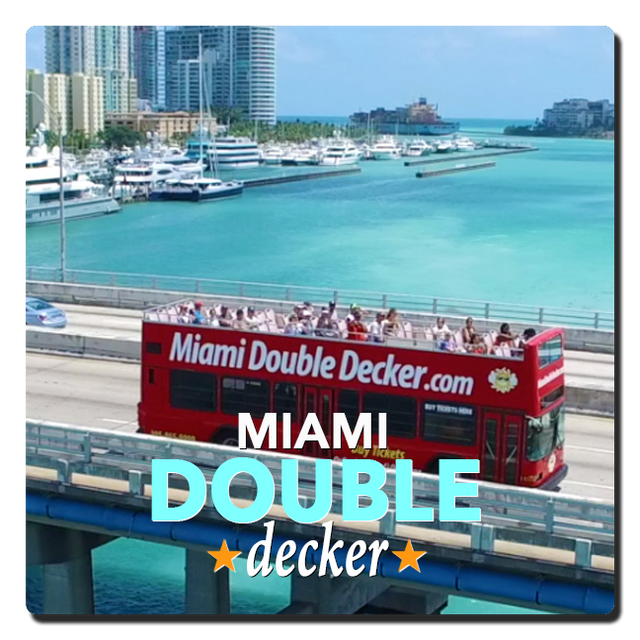 Miami Double Decker Bus Tour | Hop on Hop Off $24