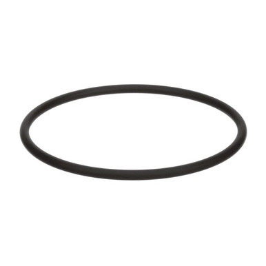 Champion 0512746 Oring, Dfm7 Wash Pump | Allpoints