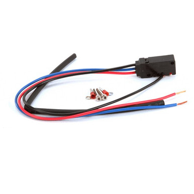 Globe X80J35-1 Microswitch - New Style | Allpoints