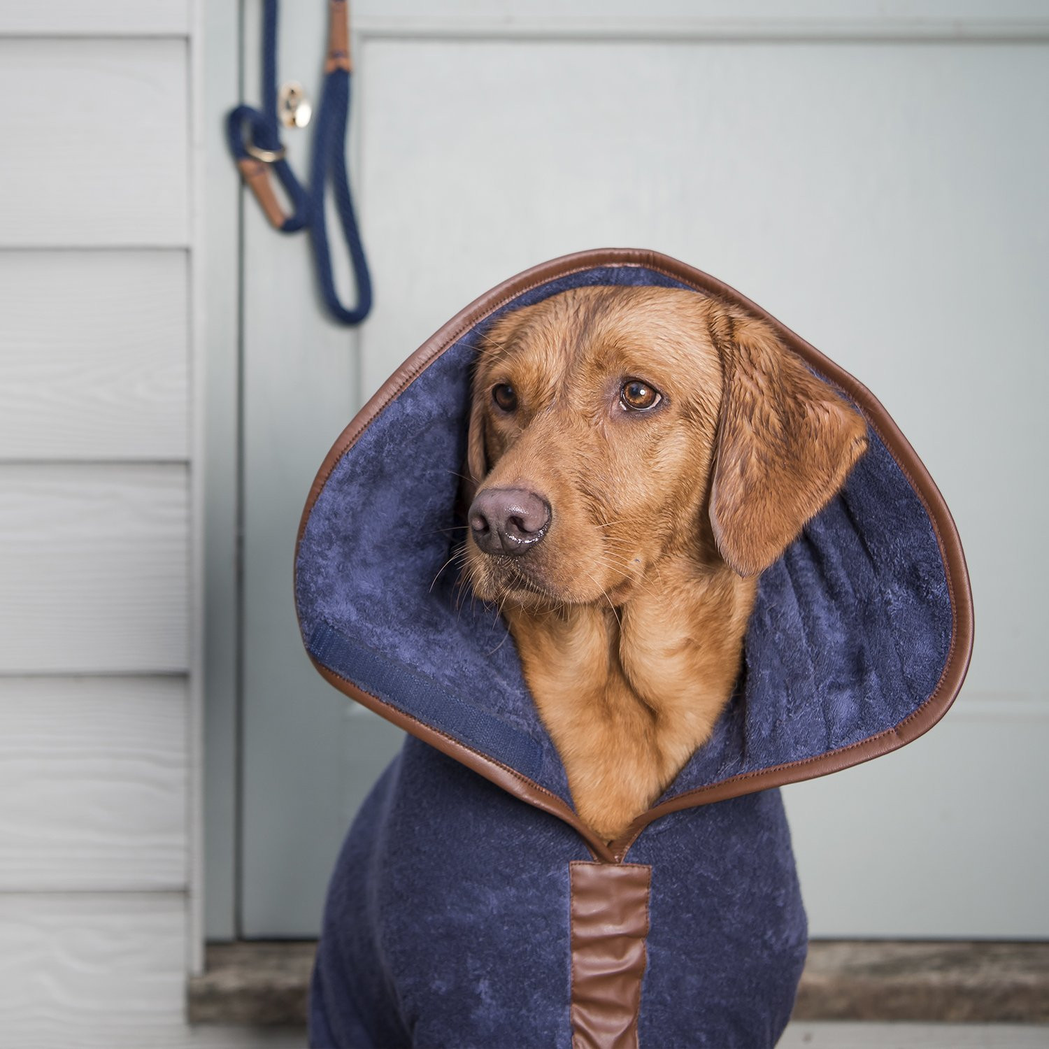 Ruff & Tumble Country Dog Coat | Dog Walking Coat