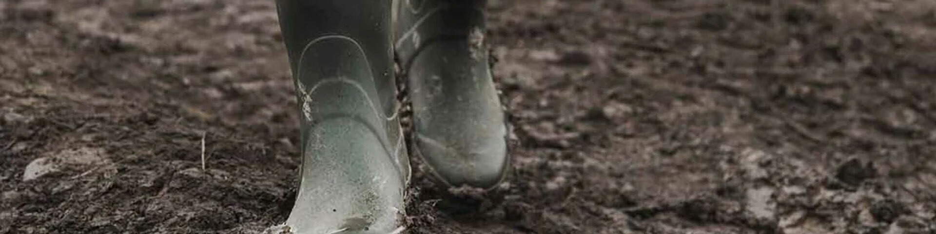 Gardening Wellies | Cherry Tree Country Clothing